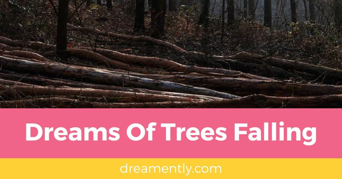 Dreams Of Trees Falling