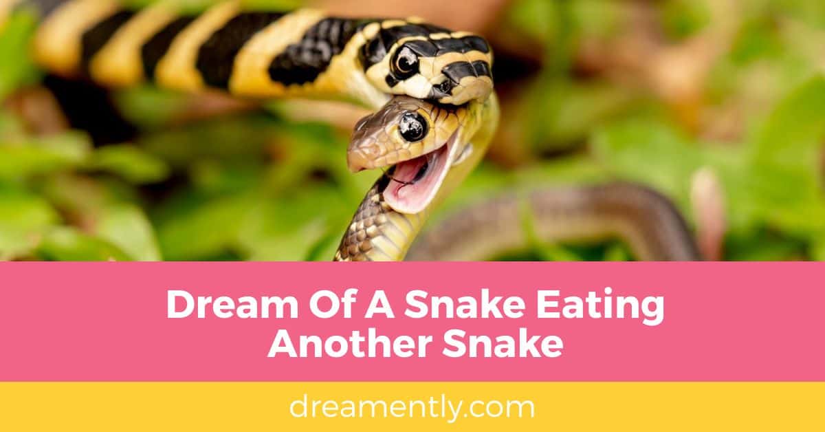 Dream Of A Snake Eating Another Snake