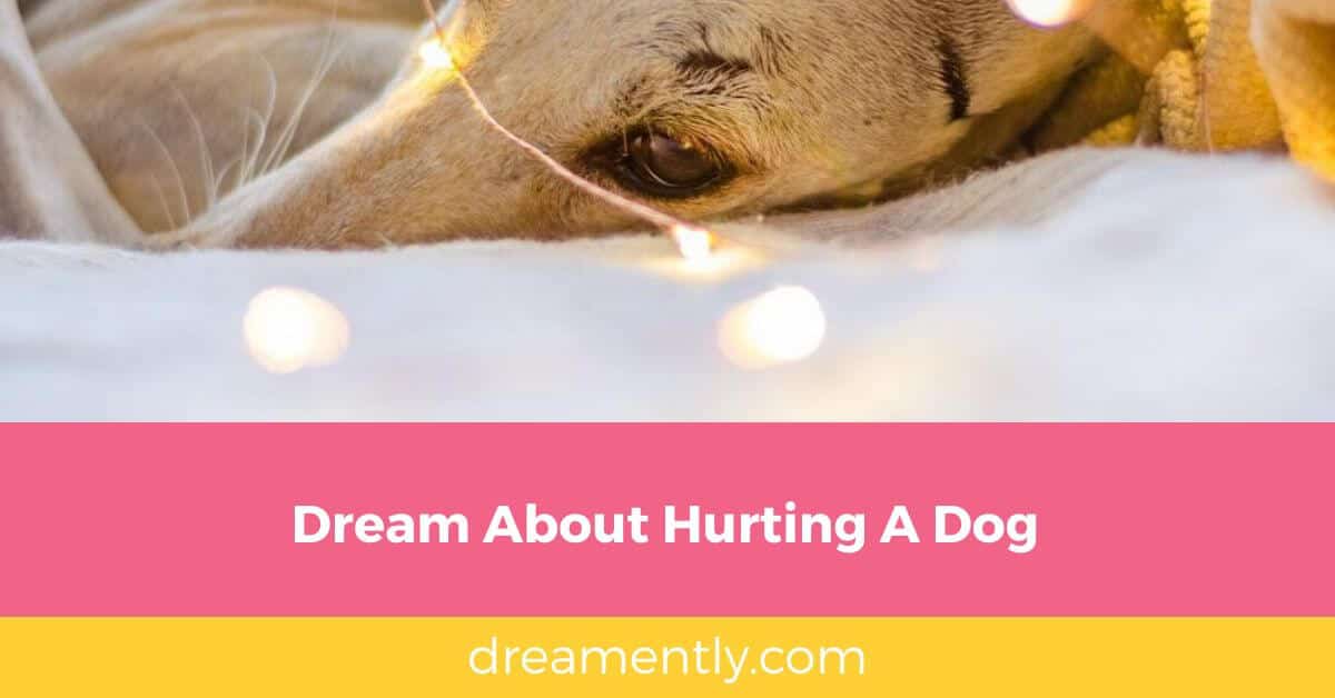 Understanding the Meaning Behind a Dream About Hurting A Dog