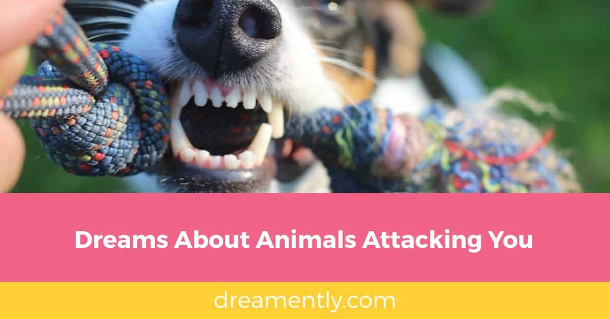 Confronting the Terrifying Reality of Dreams About Animals Attacking You